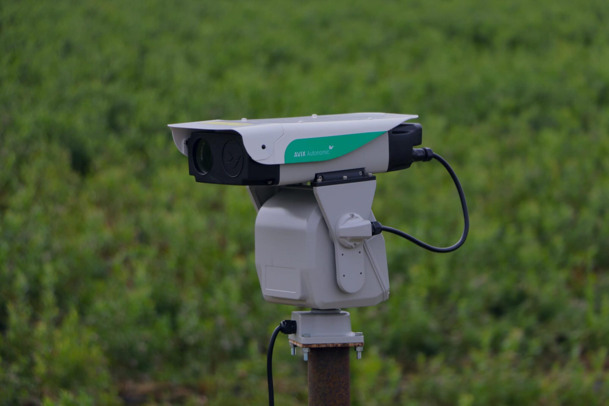 Home - Bird Laser Australia - Effective Bird Control with Laser Technology